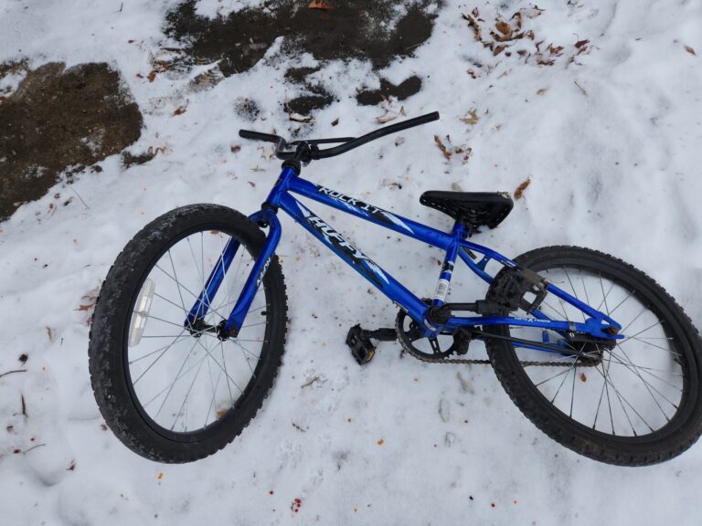 The Bike - The Outlaw Steve Corbett